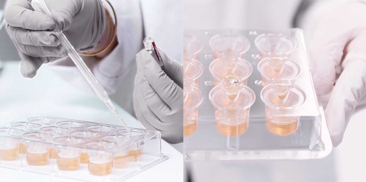 Science & Research Behind our Products - L'Oréal Paris