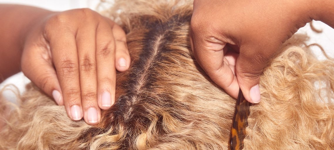 Guide To Covering Roots