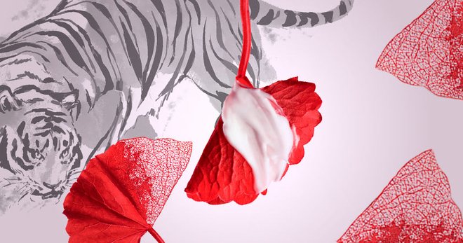 Tiger Grass: Benefits and How to Use - L’Oréal Paris