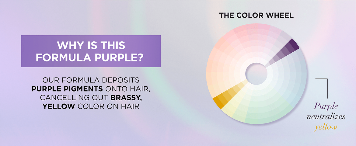 Ever Pure Purple Shampoo & Conditioner Kit - L'Oréal Paris