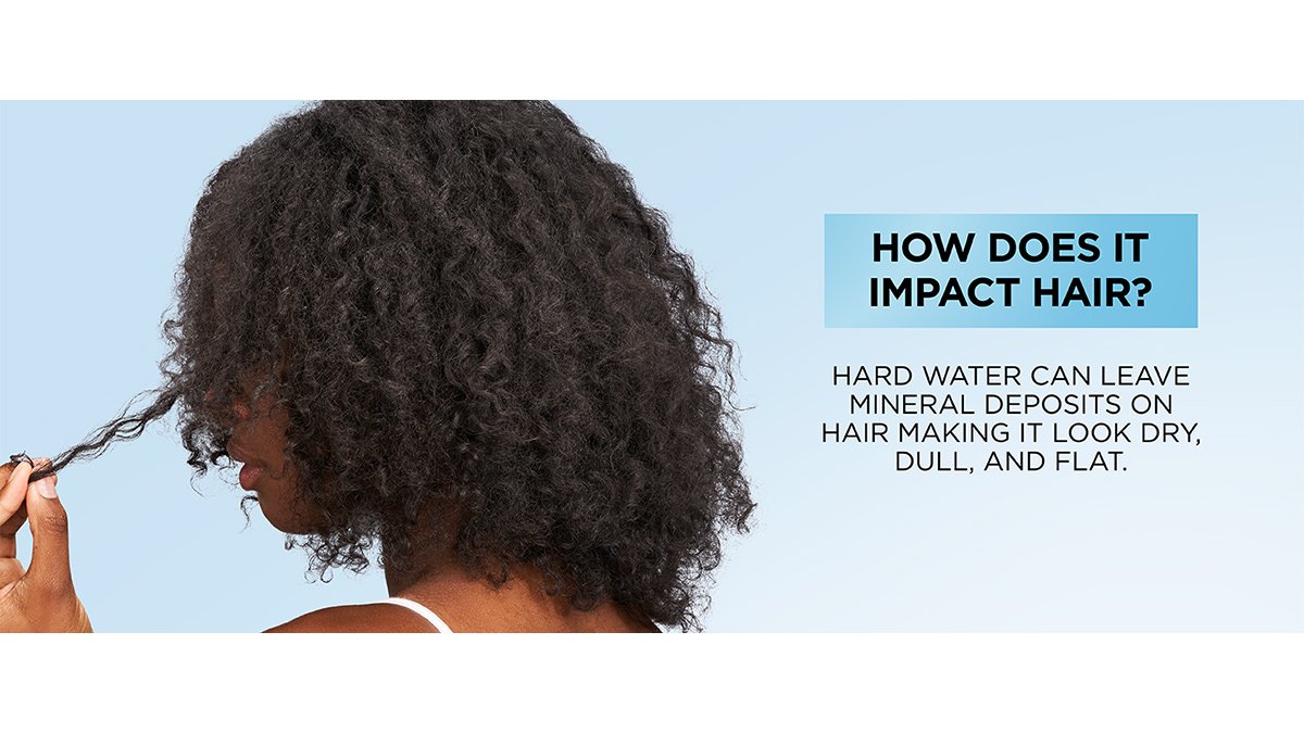 Ever Pure Sulfate-Free Clarifying Shampoo - L'Oréal Paris